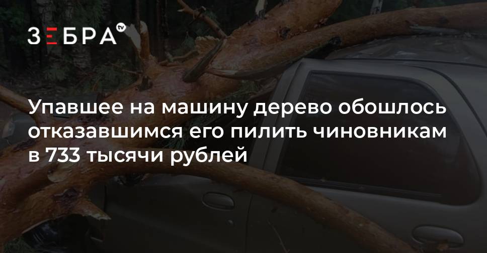 Упавшее на машину дерево обошлось отказавшимся его пилить чиновникам в 733 тысячи рублей ...